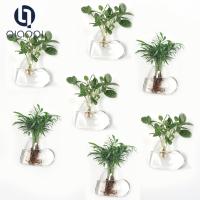 China Glass vase for flowers home decor on the wall for sale