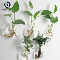 China Glass vase for flowers home decor on the wall for sale
