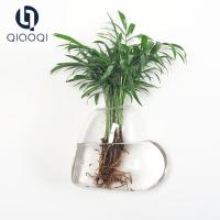 China Glass vase for flowers home decor on the wall for sale