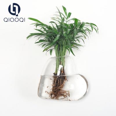China Glass vase for flowers home decor on the wall for sale