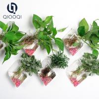 China Wholesale Home and Office Decoration on the Wall Hanging Clear Glass Vase for sale