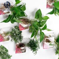 China Wholesale Home and Office Decoration on the Wall Hanging Clear Glass Vase for sale