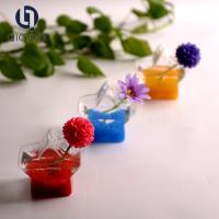 China hanging wall glass terrarium for sale