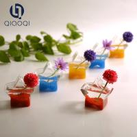 China hanging wall glass terrarium for sale