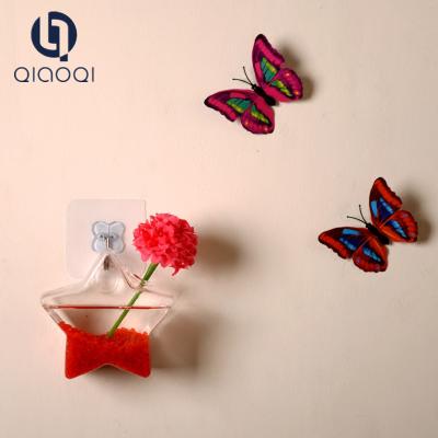 China hanging wall glass terrarium for sale