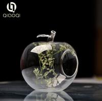 China Creative fruit shape transparent glass vase for sale