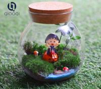 China China wholesale Product Welcome Wholesale garden miniatures flower glass vase for sale