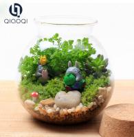 China China wholesale Product Welcome Wholesale garden miniatures flower glass vase for sale