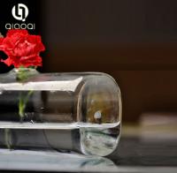 China Strip shape high boron silicon heat resistant glass vase for sale