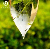 China Hanging decorative glass vase wholesale for sale