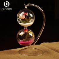 China Fashionable and Simple Double hanging transparent glass vase for sale