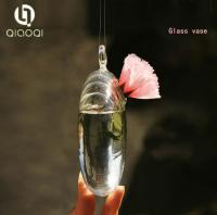 China Custom Design Flat ball type transparent glass vase can hanging China Factory for sale