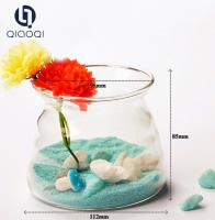China European creative landscape transparent glass vase Heat Resistant glass for sale