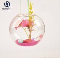 China Creative European round hanging transparent glass vase direct factory price for sale