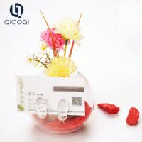 China Transparent business card frame glass vase handmade for sale
