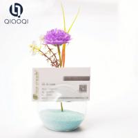 China Creative round business card holder transparent glass vase at cheap price for sale