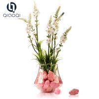 China Good quality glass vase flower vase for promotation for sale