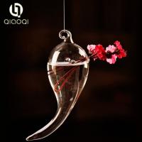 China Home decorative glass flower vase hanging clear glass vase for sale