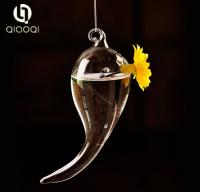 China Home decorative glass flower vase hanging clear glass vase for sale