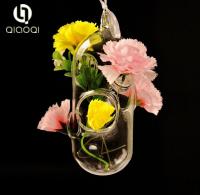 China Porous single pipe hanging crystal glass vase hydroponic flowers container for sale