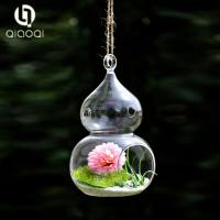 China Creative gourd shape Transparent glass vase China manufacturer for sale