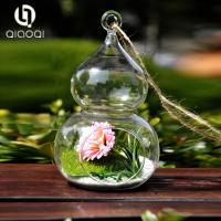 China Creative gourd shape Transparent glass vase China manufacturer for sale