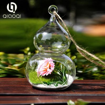 China Creative gourd shape Transparent glass vase China manufacturer for sale