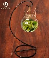 China Creative glass hydroponic flowers vase Special gift for sale