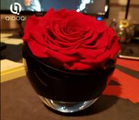 China Creative Black Glass vase with clear bottom for sale
