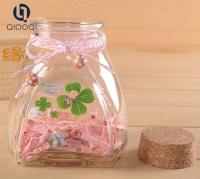 China Cork bottle Wishing glass Bottle unique glass bottles for sale