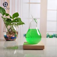 China New Design Pear Shape Glass Weather Predictable Forecast Storm Glass For Promotional for sale