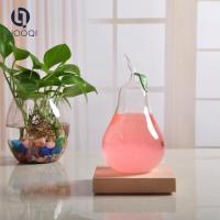 China New Design Pear Shape Glass Weather Predictable Forecast Storm Glass For Promotional for sale