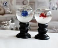 China Crystal ball weather forecast bottle with wooden base for sale