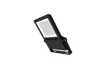 China Wide Light Spot 100W High Power Efficiency 150LPW LED Flood Light IP66 Outdoor Sports Projects for sale