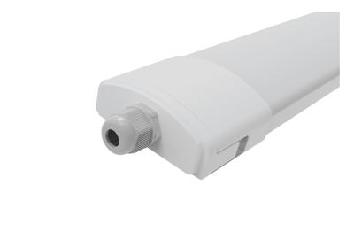 China Dust and Waterproof IP66 Tri Proof Lighting Fixture 40 Watt 1200mm for sale