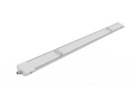 China Dualrays D2.5 Series 40W 4ft Explosion Proof LED Lights 160LmW Waterproof Led Lights 0 to 10V  DALI Dimming for sale