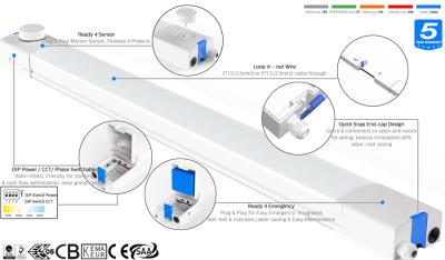 China D4 LED Moisture-proof Lamp 160LPW with Ready 4 Emergency 4W@3HRS Plug and Play Easy for Maintenance​ Suitable for Parking Garage and Lighting for sale