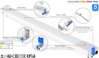 China D4 LED Moisture-proof Lamp with Up to 130 LPW DIP Power/3CCT/3-Phase Changing 1SKU=12SKU Friendly for Stocking and Cash Flow Optimization Easy for Group Control for sale