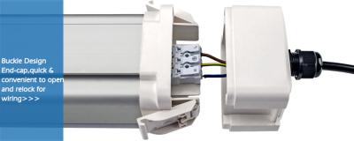China DUALRAYS D5 LED Vapour Proof Light Fittings with Buckle Design End-cap Quick Convenient to Open and Relock for Wiring for sale