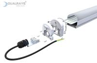 China Dualrays D2 Series 40W Emergency LED Tri Proof Lamp IP65 5 Year Warranty for Industrial Lighting Application for sale