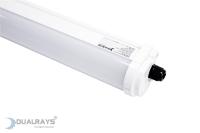 China Warehouse PC SMD2835 IP66 IK10 LED Tri Proof Light for sale