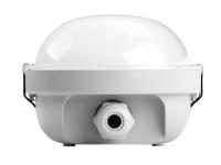 China Dualrays D2.5 160LmW 30W 5ft Led Vapor Proof Light Surface Mounted for sale