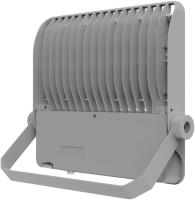 China Gray Color Led Sports Flood Light 100W Meanwell Sosen Driver IP66 Protection Sport Ground for sale