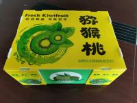 China Reusable Plastic Fruit Box with Customized Capacity and Ventilation with colored printing for sale