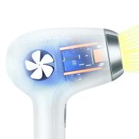 China Permanent Painless Handheld Laser Hair Remover For Face Bikini Arm Legs for sale
