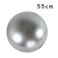 China 55cm Multi Function Yoga Stability Ball PVC Non Slip Home Use for sale
