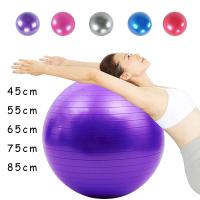 China High Flexibility Pilates 65cm Stability Ball Heavy Duty For Gym for sale