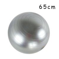 China High Flexibility Pilates 65cm Stability Ball Heavy Duty For Gym for sale