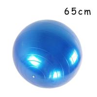 China High Flexibility Pilates 65cm Stability Ball Heavy Duty For Gym for sale