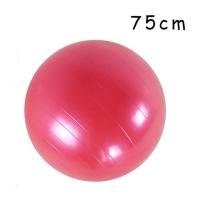 China RoHS Approval Anti Burst Yoga Stability Ball , 75 Cm Fitness Ball For Whole Body Exercise for sale